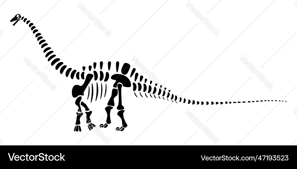 Apatosaurus skeleton silhouette dinosaurs side Vector Image