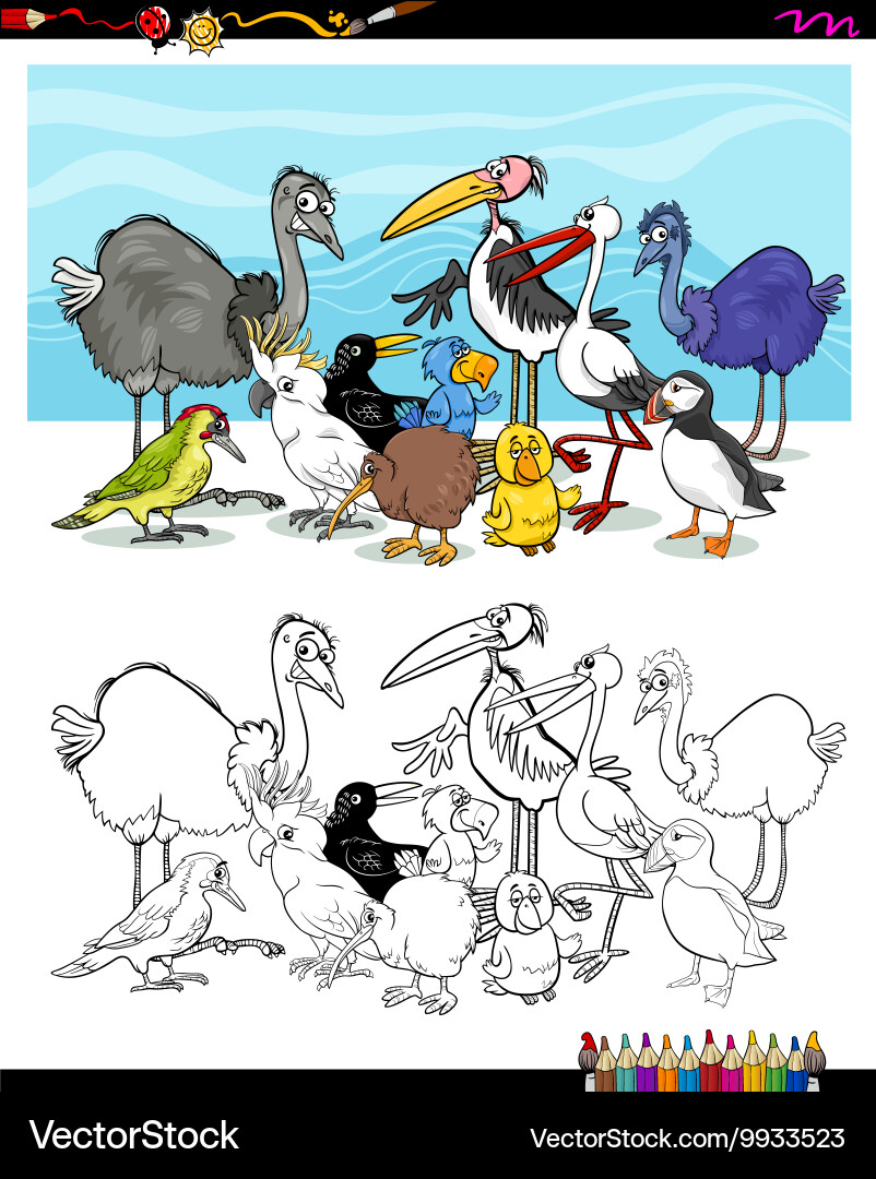 Cartoon birds for coloring Royalty Free Vector Image