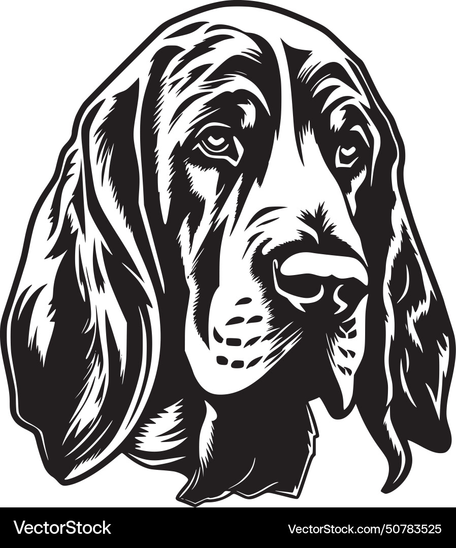Bloodhound - black and white isolated icon Vector Image