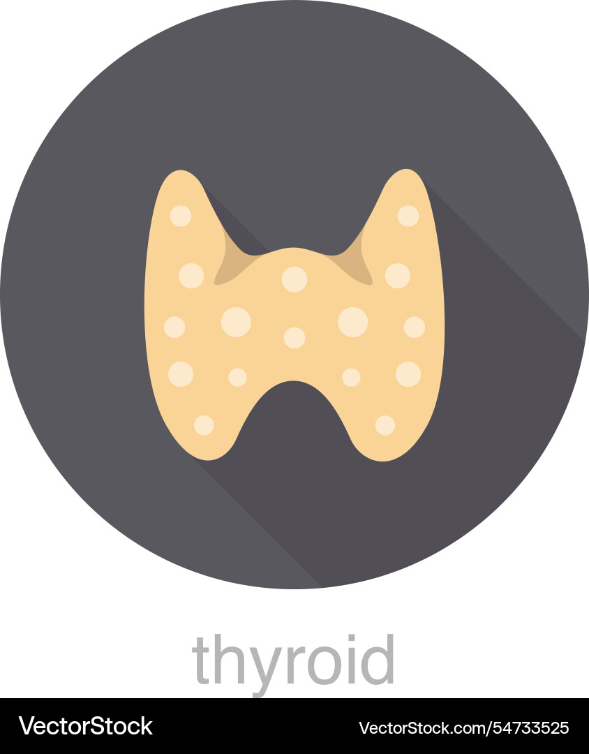 Human organ thyroid flat design icon Royalty Free Vector