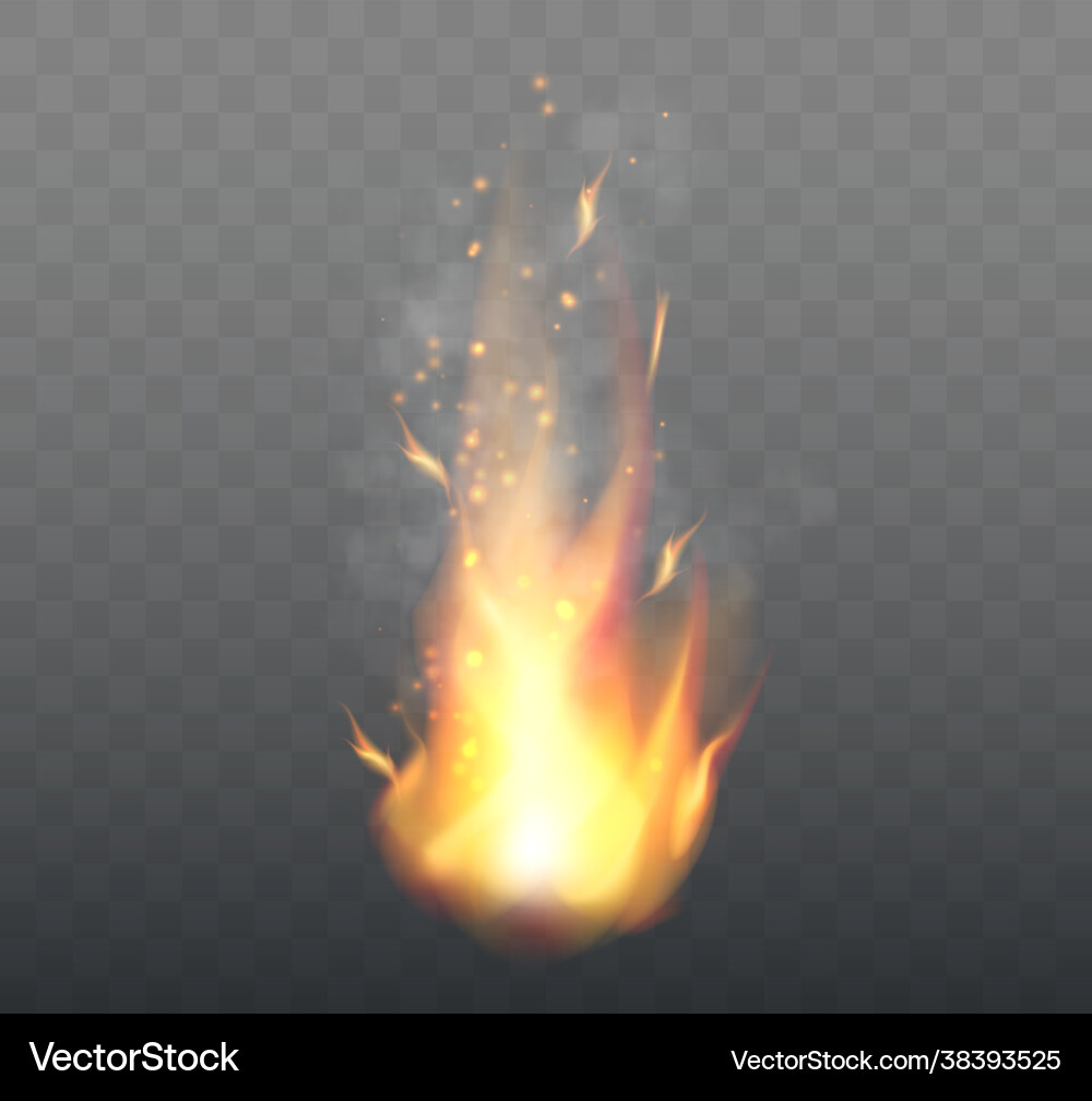 Realistic fire flames isolated Royalty Free Vector Image