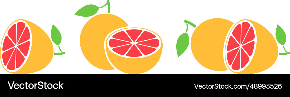 Grapefruit Royalty Free Vector Image - VectorStock