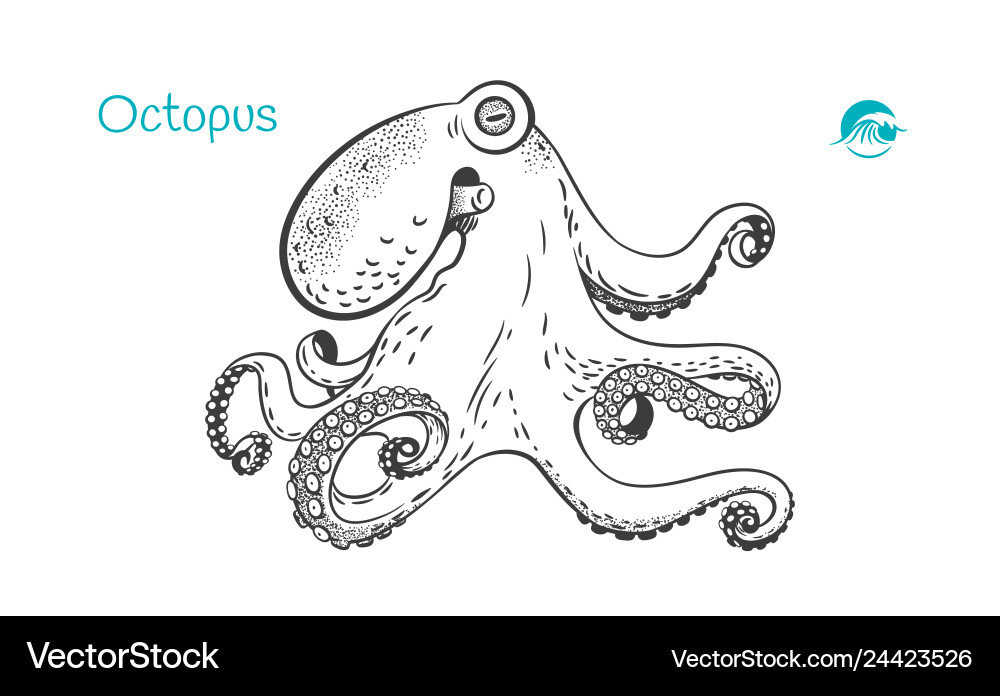 Octopus hand-drawn Royalty Free Vector Image - VectorStock