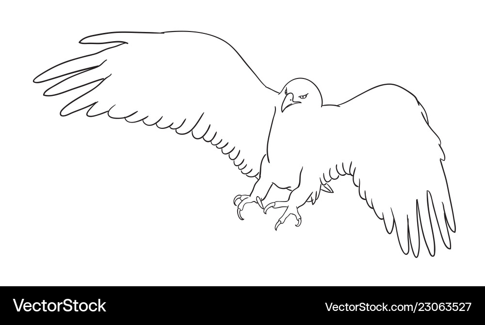 Eagle line art 06 Royalty Free Vector Image - VectorStock