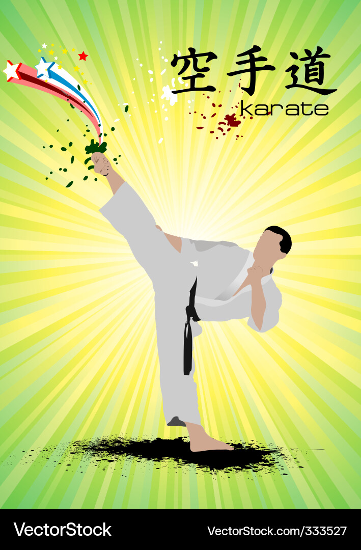 Karate poster Royalty Free Vector Image - VectorStock