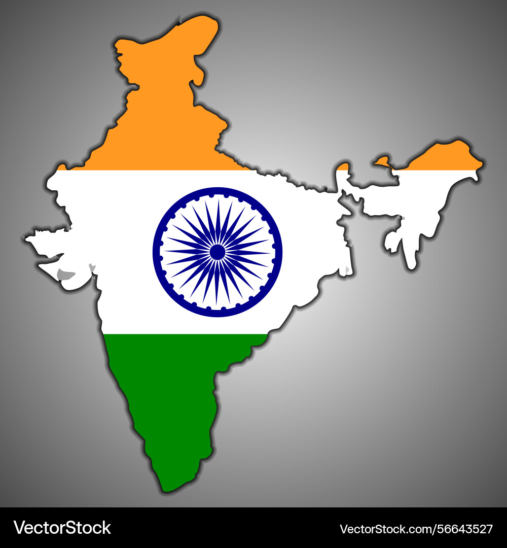 Realistic indian topographic map design india Vector Image