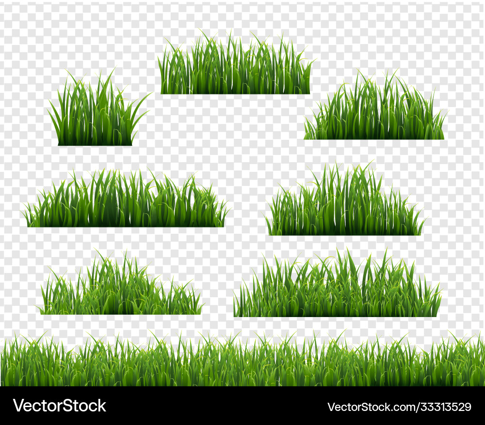 Green grass frame transparent background Vector Image