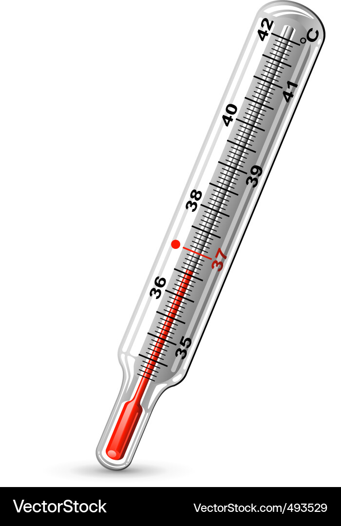 Mometer Royalty Free Vector Image - VectorStock