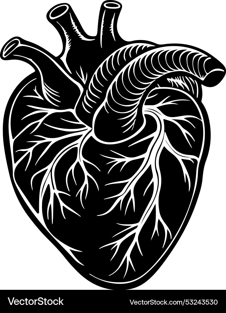 A heart Royalty Free Vector Image - VectorStock