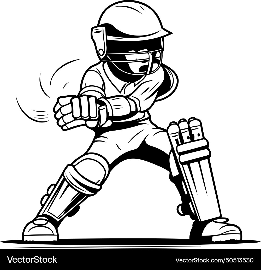 Cricket player hitting the ball with a bat Vector Image