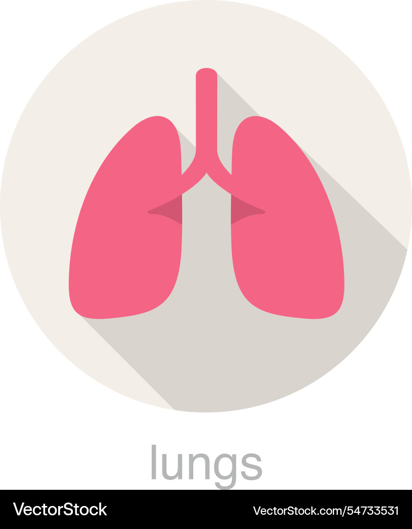 Human organ lungs flat design icon Royalty Free Vector Image
