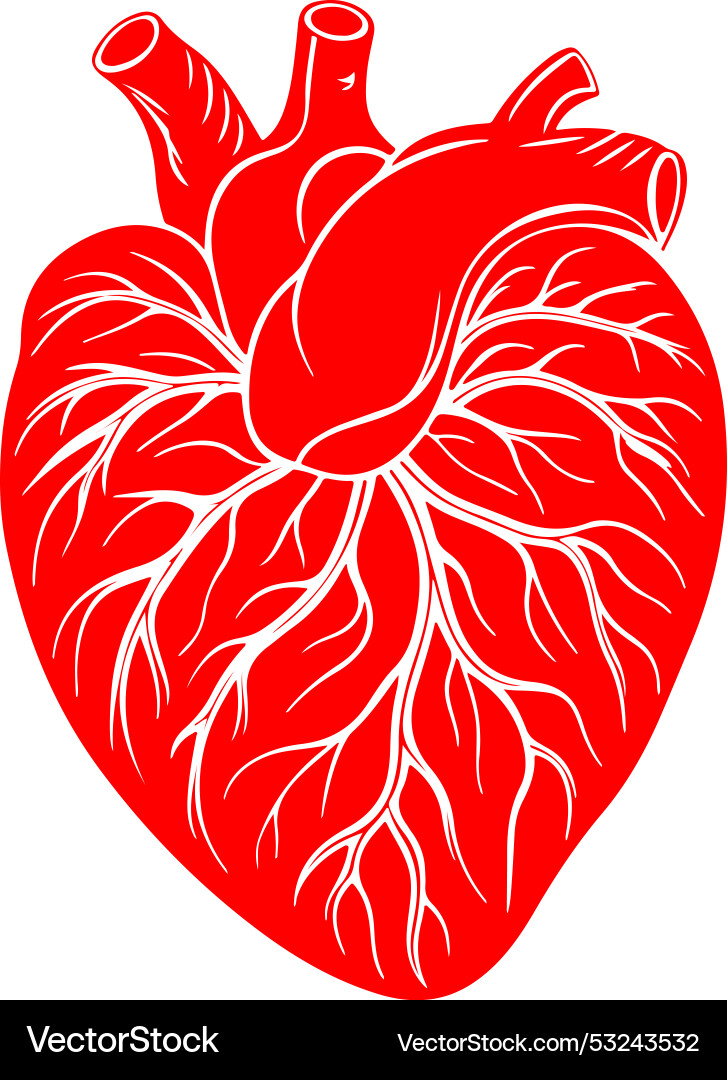 A heart Royalty Free Vector Image - VectorStock