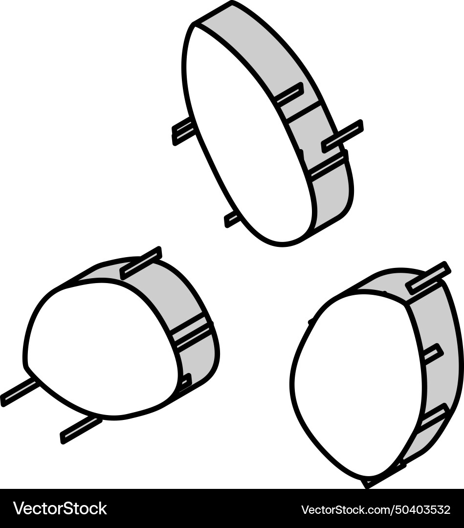 Barley grain peeled isometric icon Royalty Free Vector Image