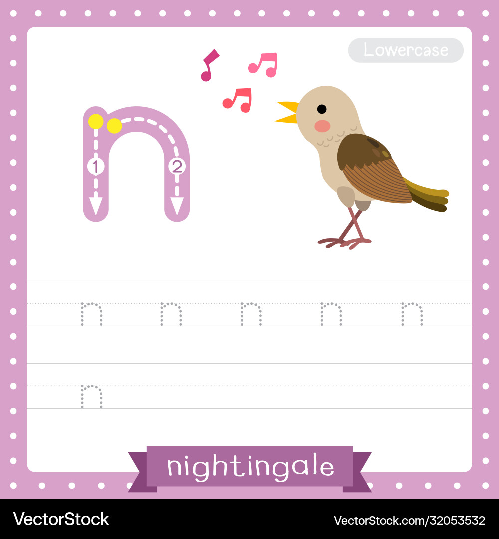 Letter n lowercase tracing practice worksheet Vector Image