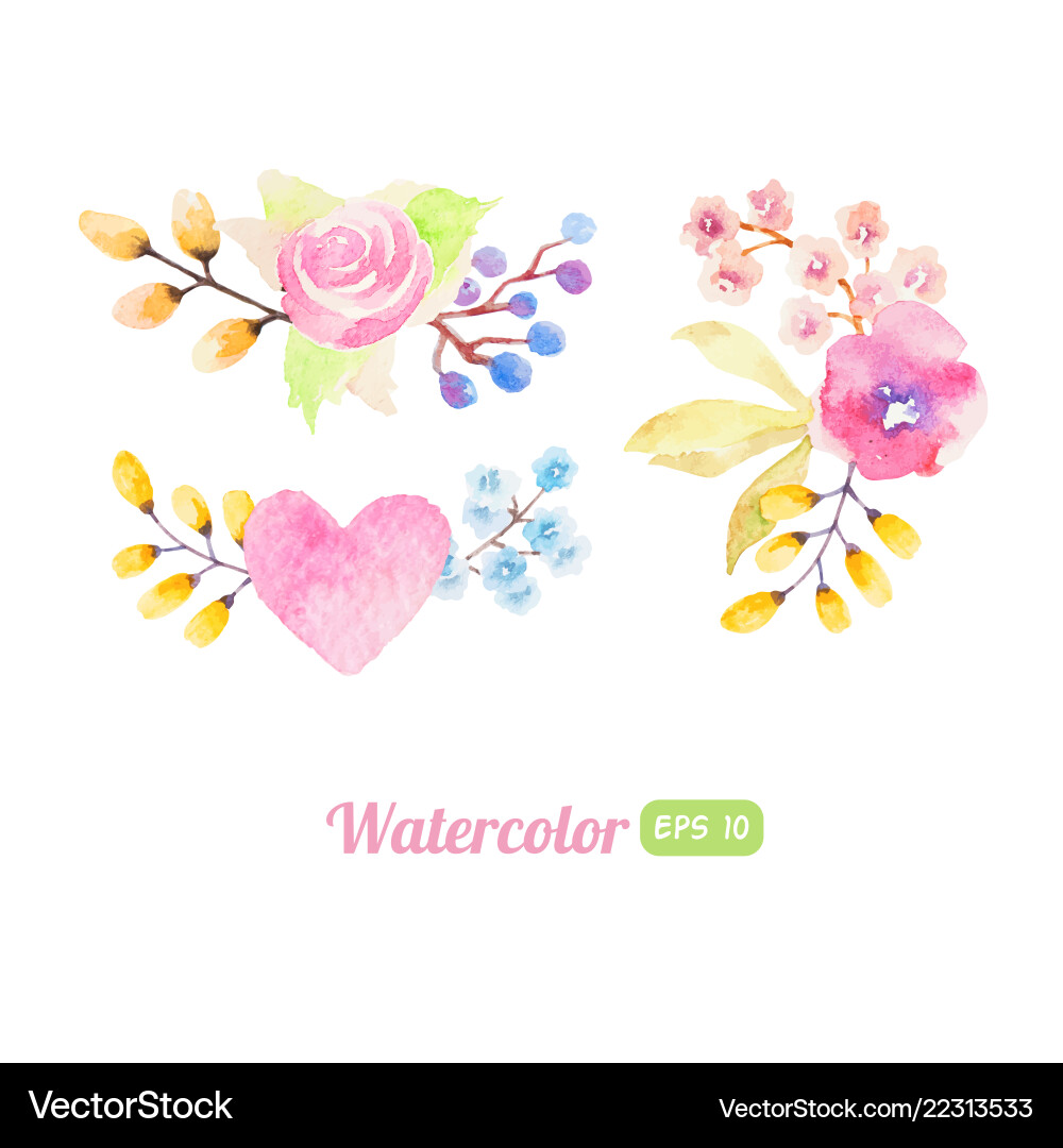 Watercolor Floral Elements Set Royalty Free Vector Image