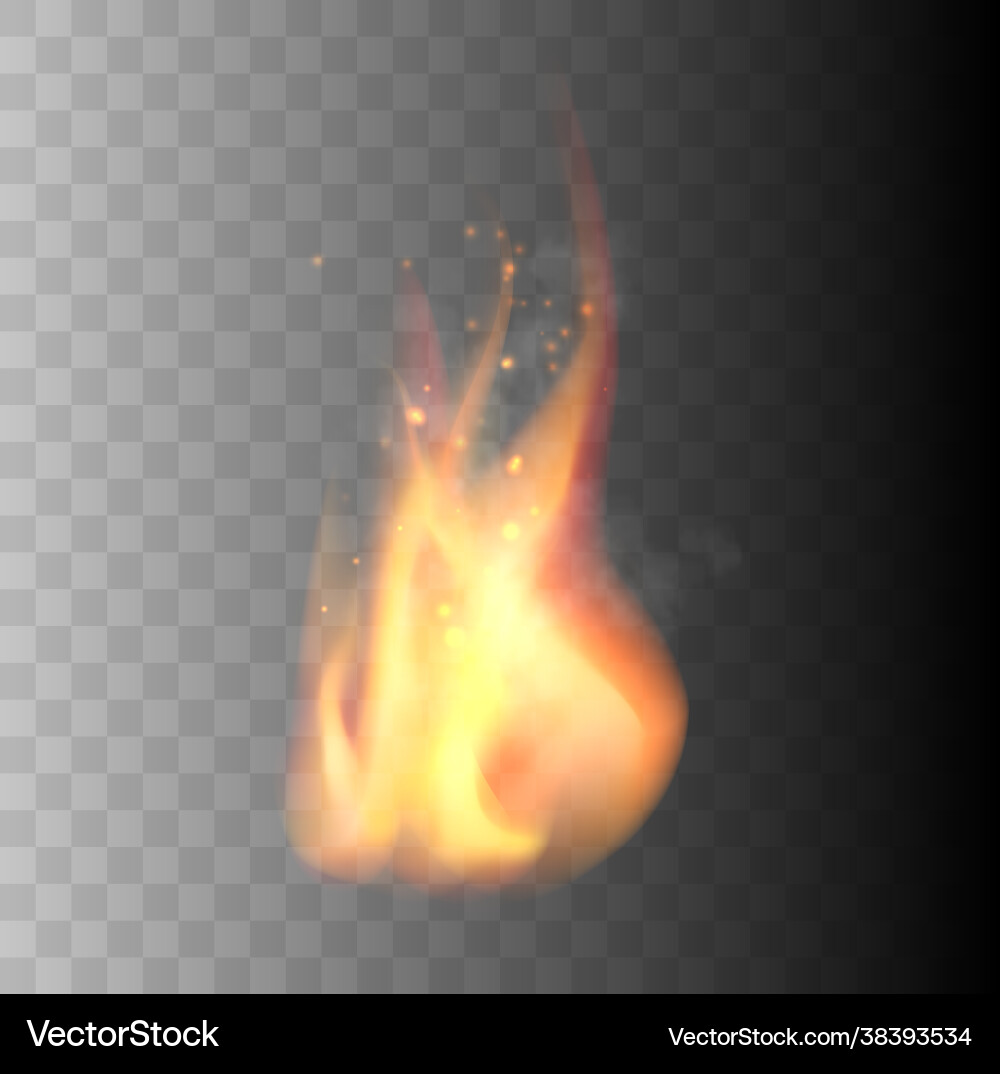 Realistic fire flames isolated Royalty Free Vector Image
