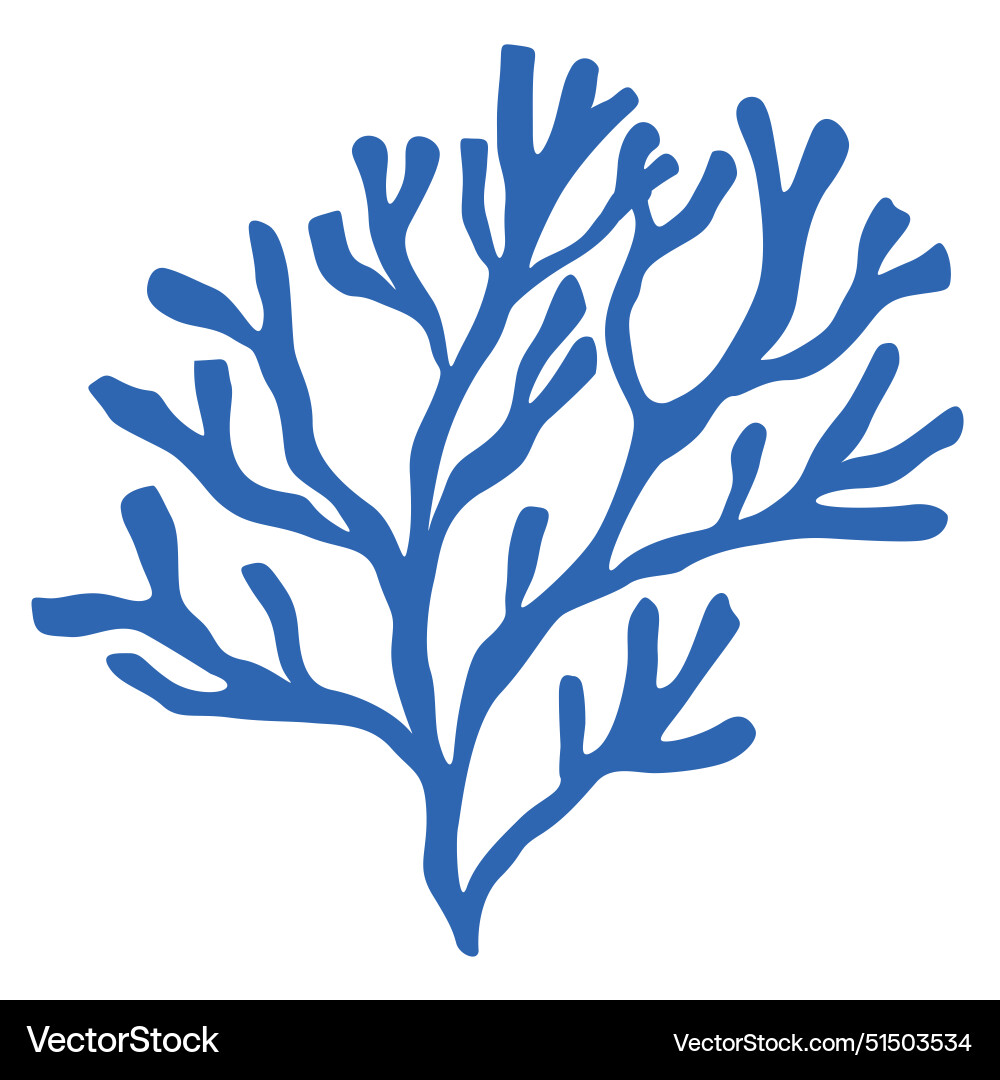 Seaweed Royalty Free Vector Image - VectorStock
