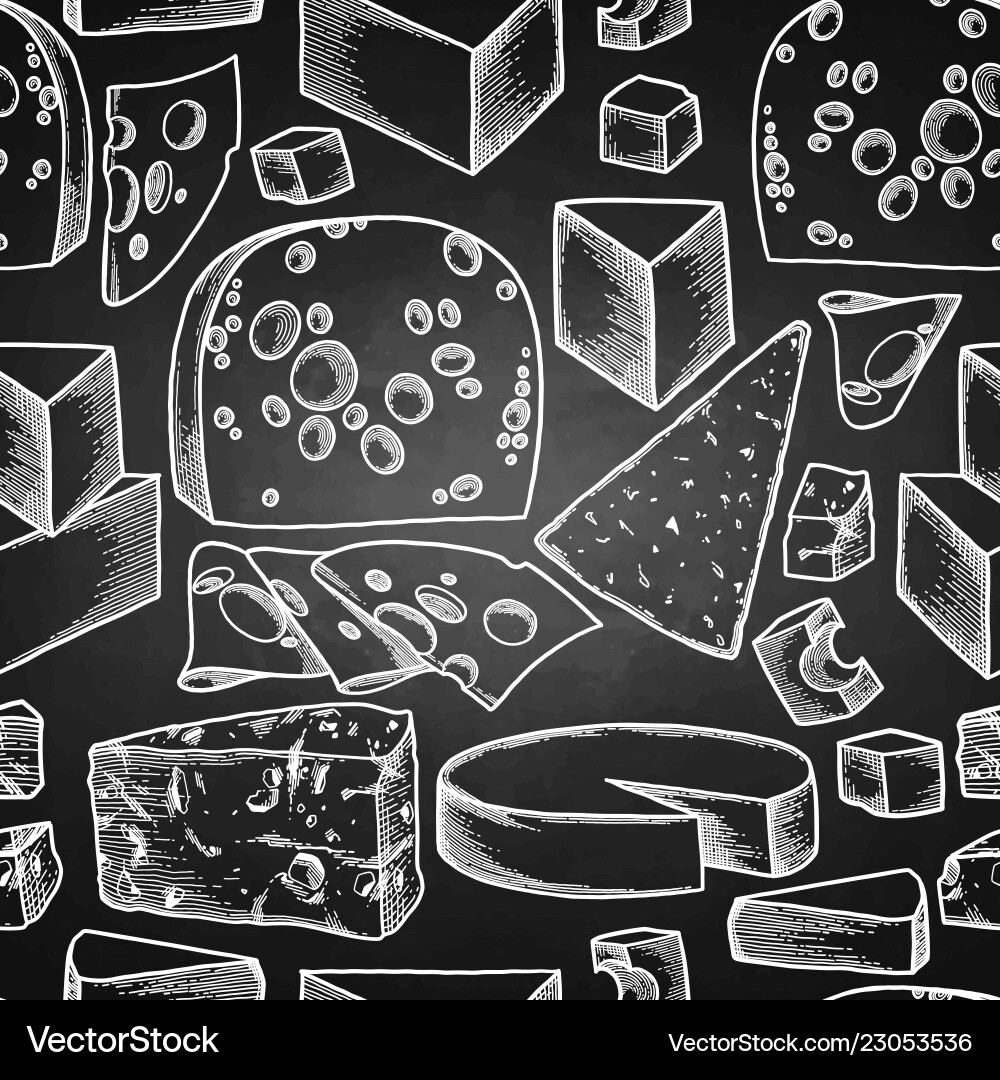 Graphic pattern of different types cheese Vector Image