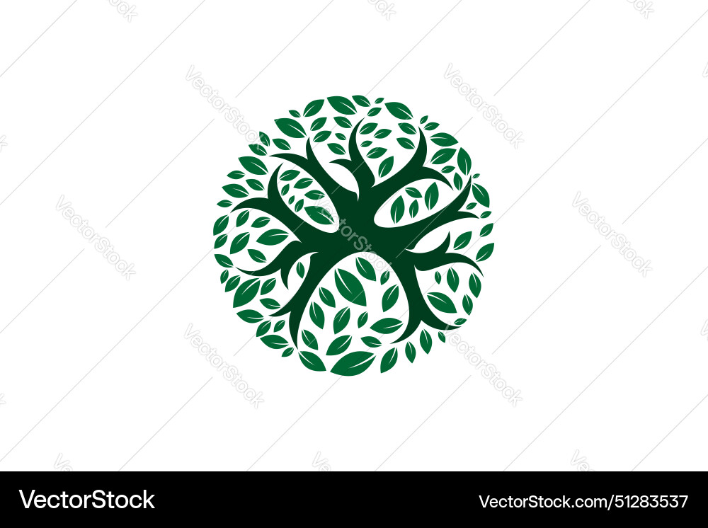 Circle tree logo Royalty Free Vector Image - VectorStock