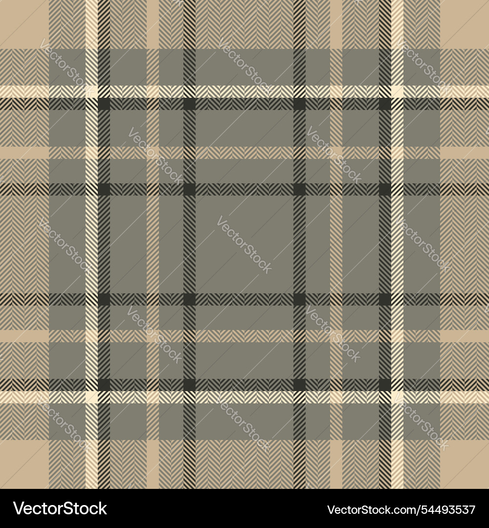Plaid check pattern seamless fabric texture Vector Image