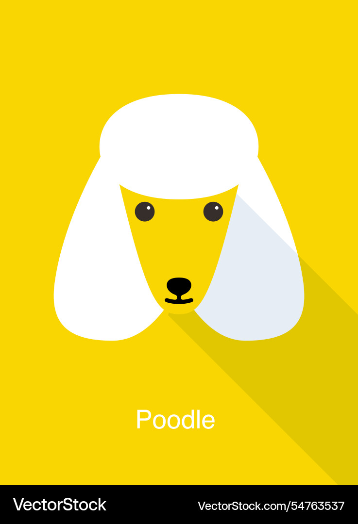 Poodle dog face flat icon design Royalty Free Vector Image