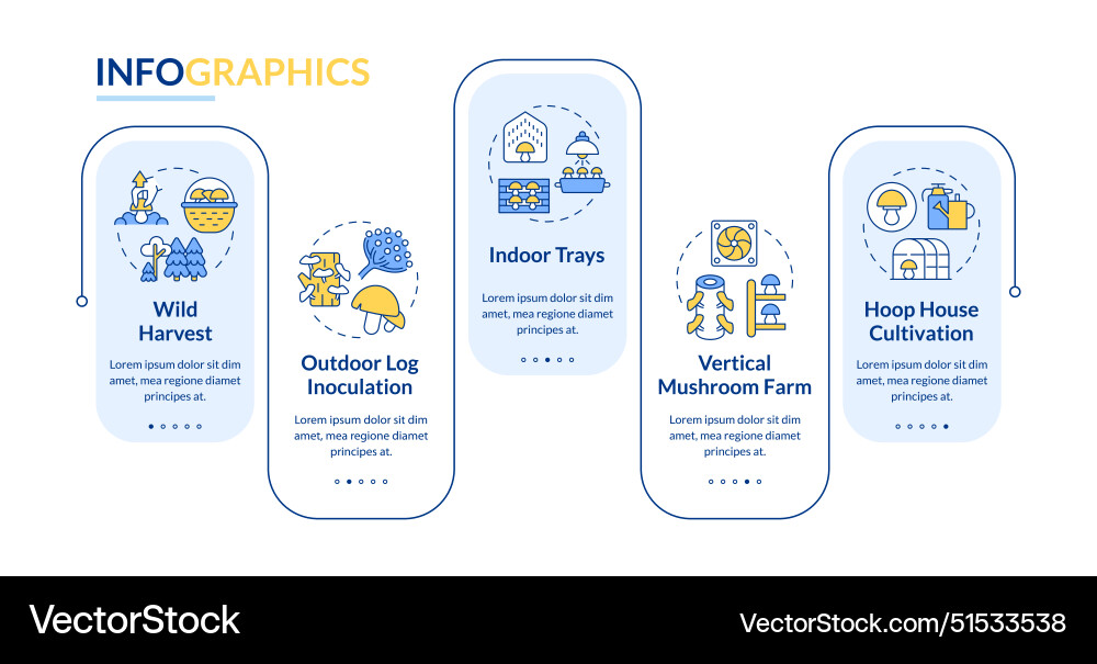 Cultivation techniques blue rectangle infographic Vector Image