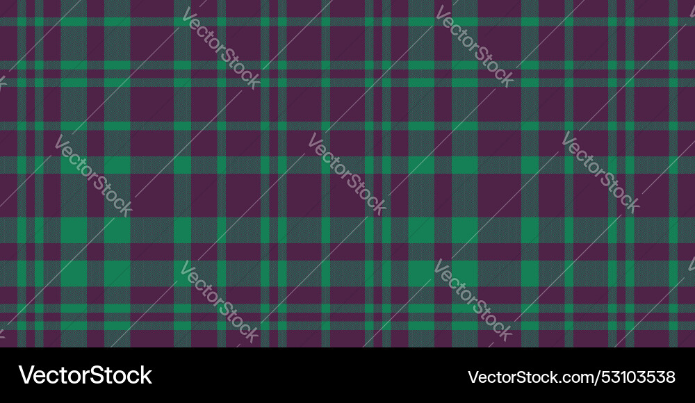 International tartan check wide plaid background Vector Image