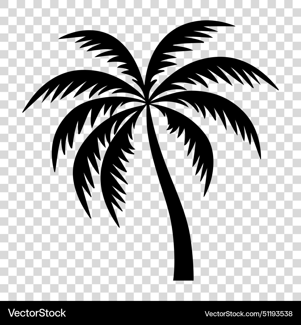 Palm tree icon Royalty Free Vector Image - VectorStock
