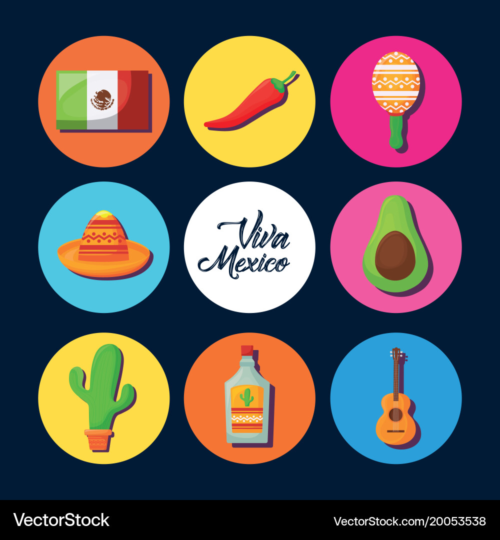 Viva mexico design Royalty Free Vector Image - VectorStock
