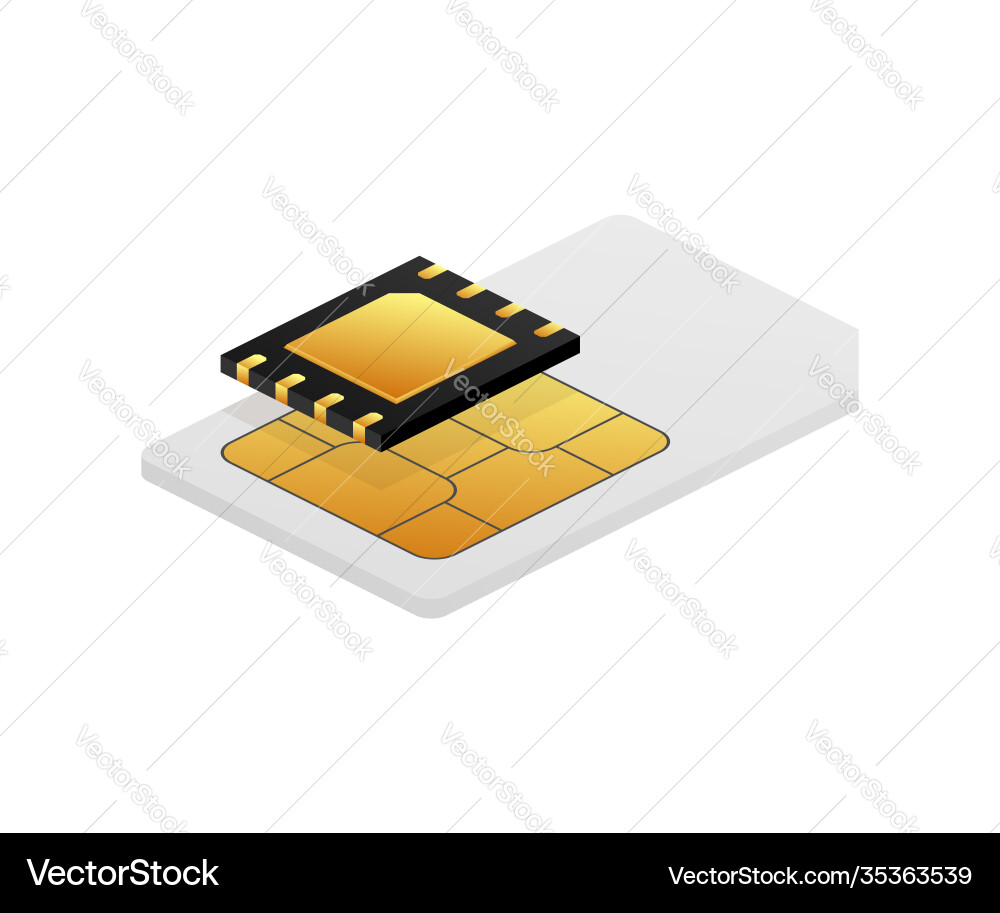 Digital e sim chip motherboard Royalty Free Vector Image