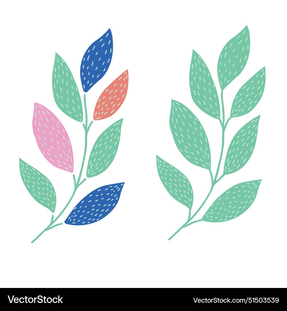 Seaweed Royalty Free Vector Image - VectorStock