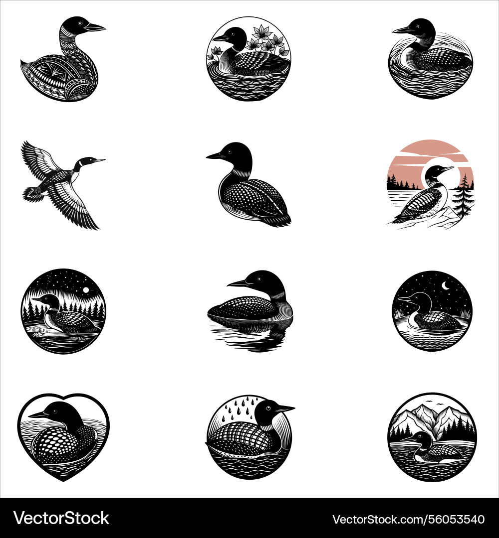 Common loon bundle Royalty Free Vector Image - VectorStock