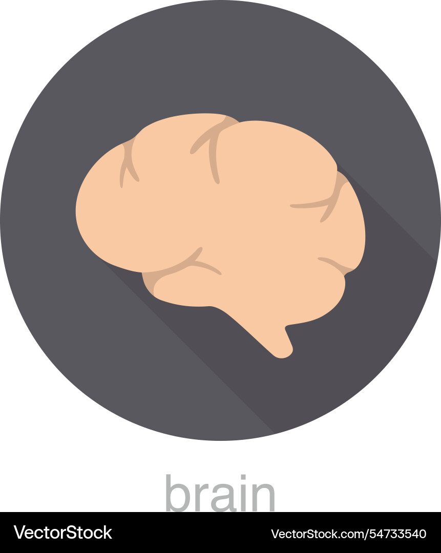 Human organ brain flat design icon Royalty Free Vector Image