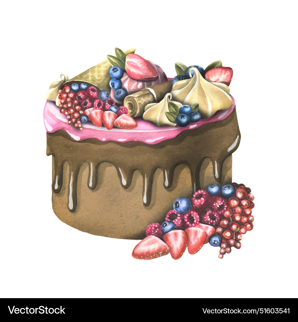 A large chocolate cake with icing berries Vector Image