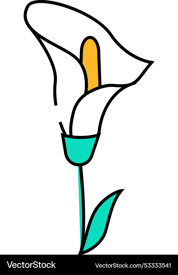 Calla flower icon color Royalty Free Vector Image