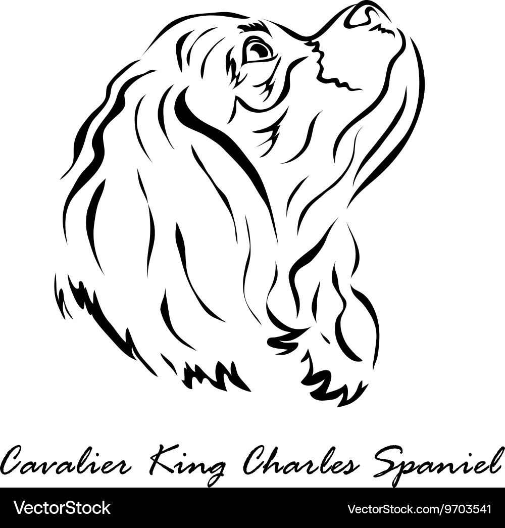 King Charles Vector Images (over 780)