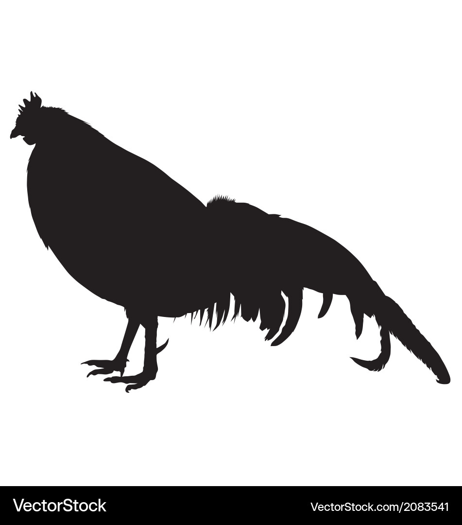 Chicken Royalty Free Vector Image - VectorStock
