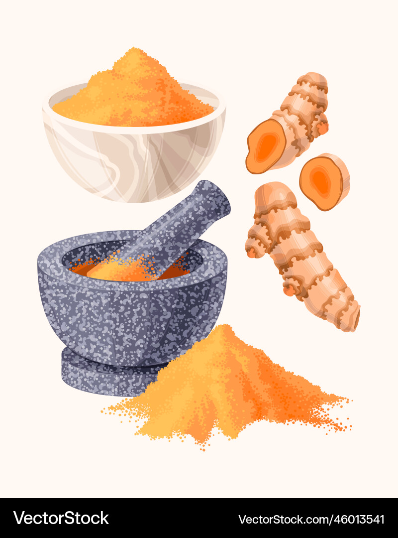Turmeric Root and Powder Set Royalty Free Vector Image