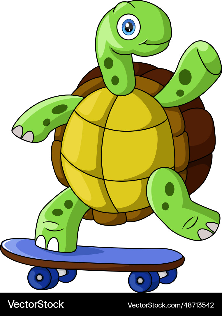 Cute Turtle Skateboarding Royalty Free Vector Image