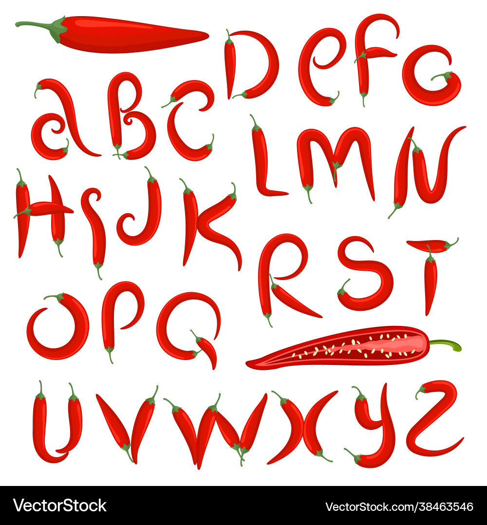Chilly pepper abc Royalty Free Vector Image - VectorStock