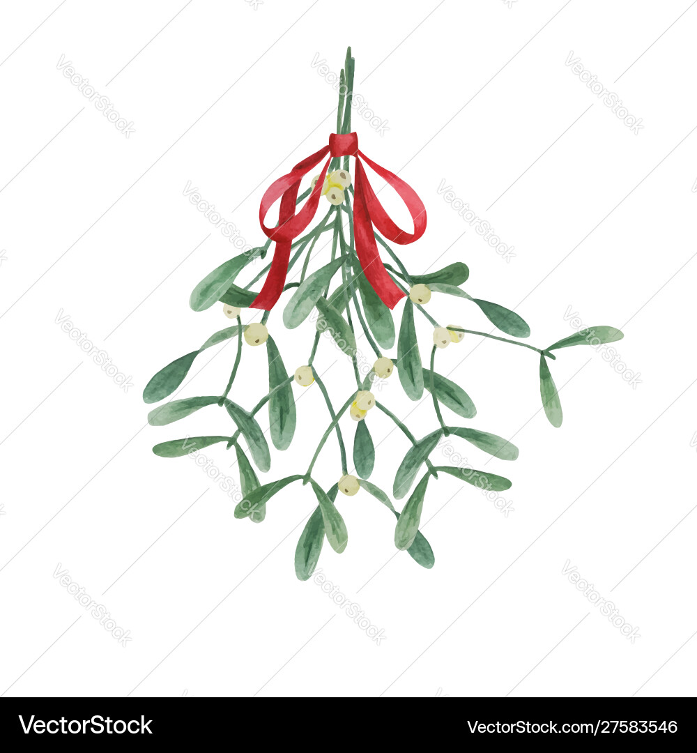 Mistletoe Hanging Vector Images (over 640)