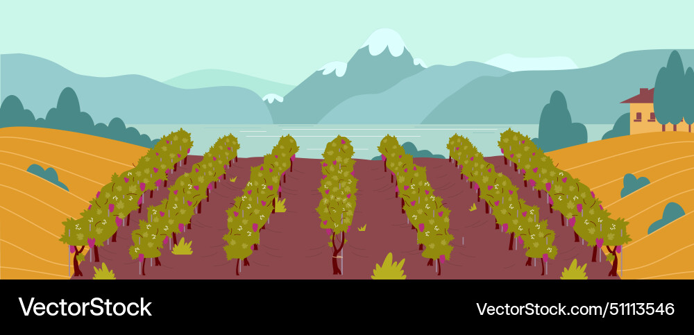 Scenic vineyard landscape Royalty Free Vector Image
