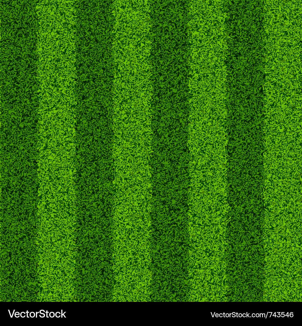 Seamless green grass field Royalty Free Vector Image