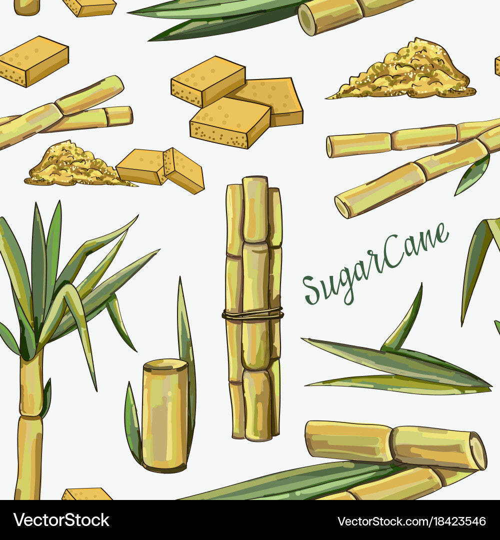 Sugar cane icons pattern Royalty Free Vector Image