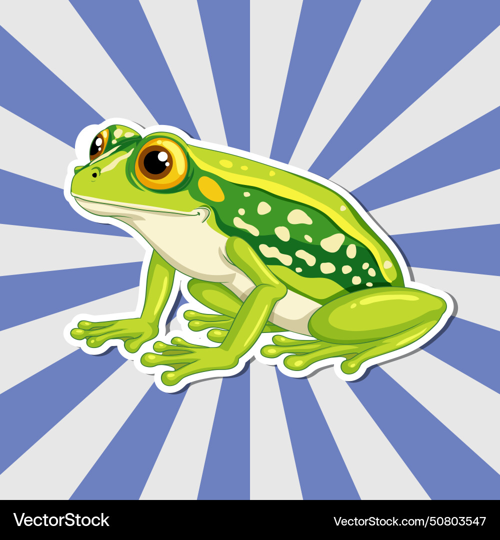 Colorful cartoon frog on a dynamic background Vector Image