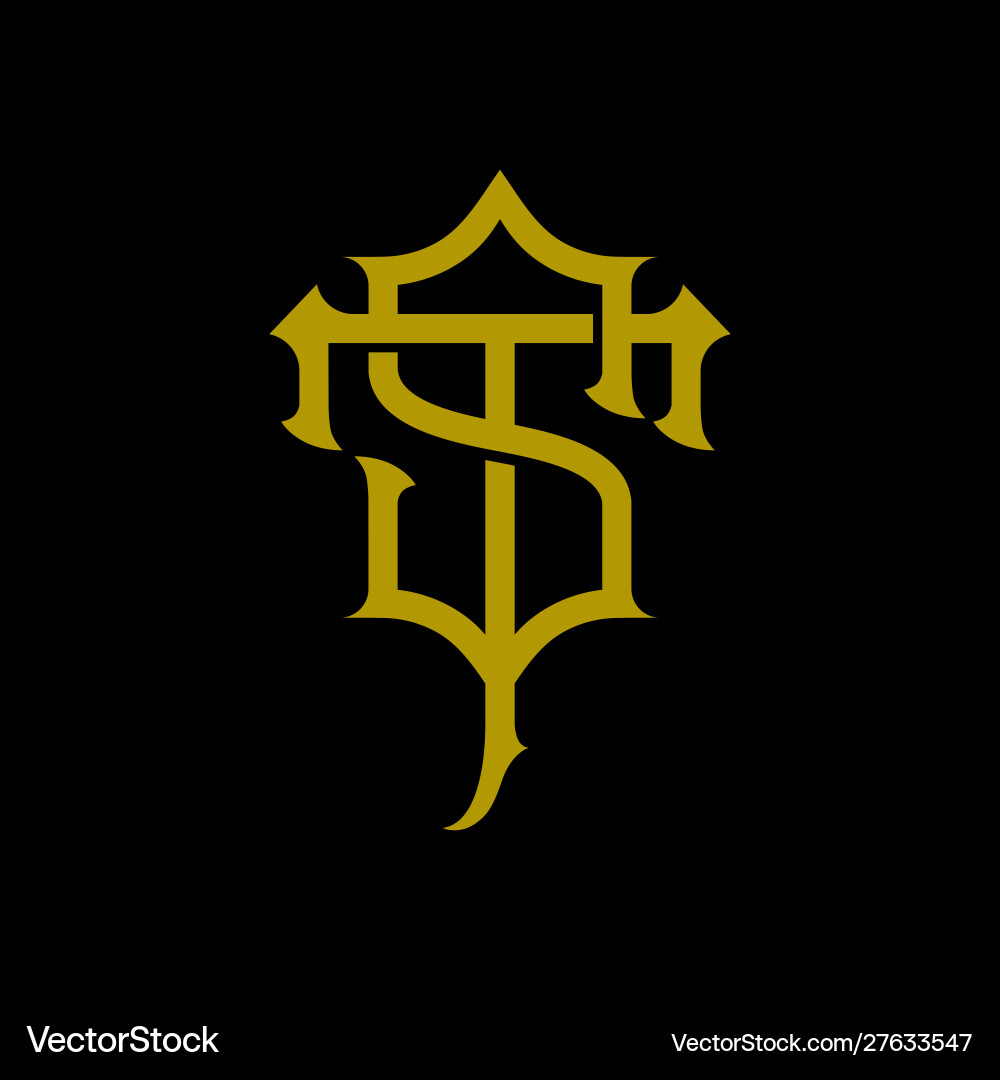 Initial ts logo design template Royalty Free Vector Image