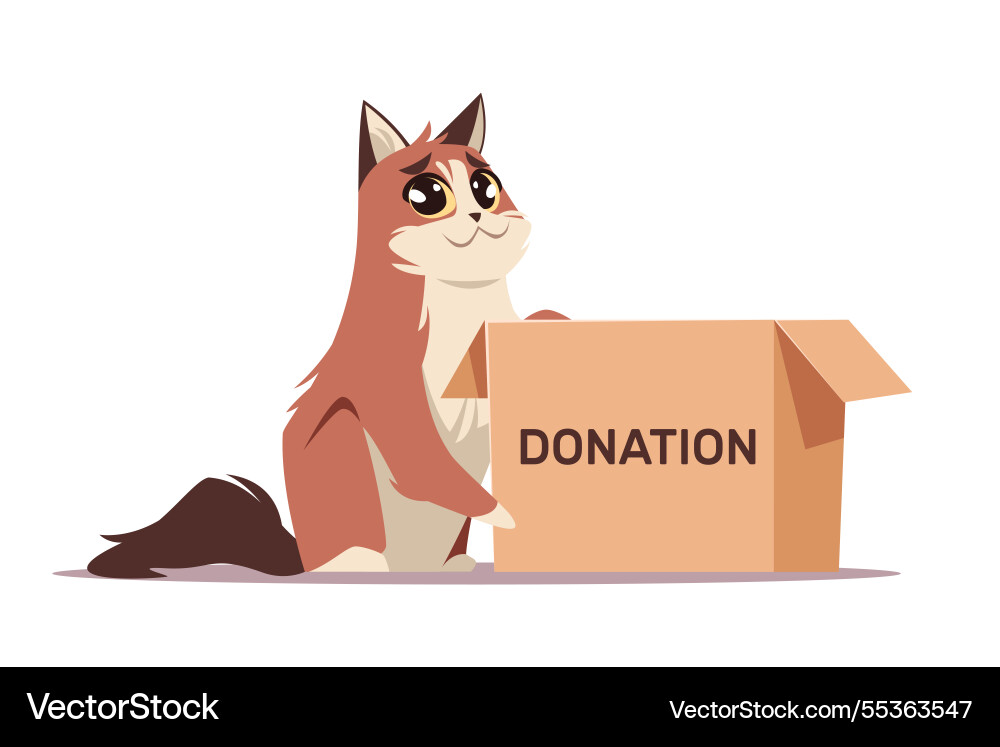 Stray cat near box asking for donations Royalty Free Vector