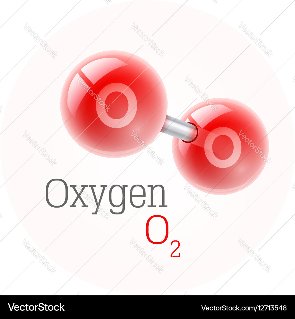 Oxygen Molecule Model Royalty Free Vector Image