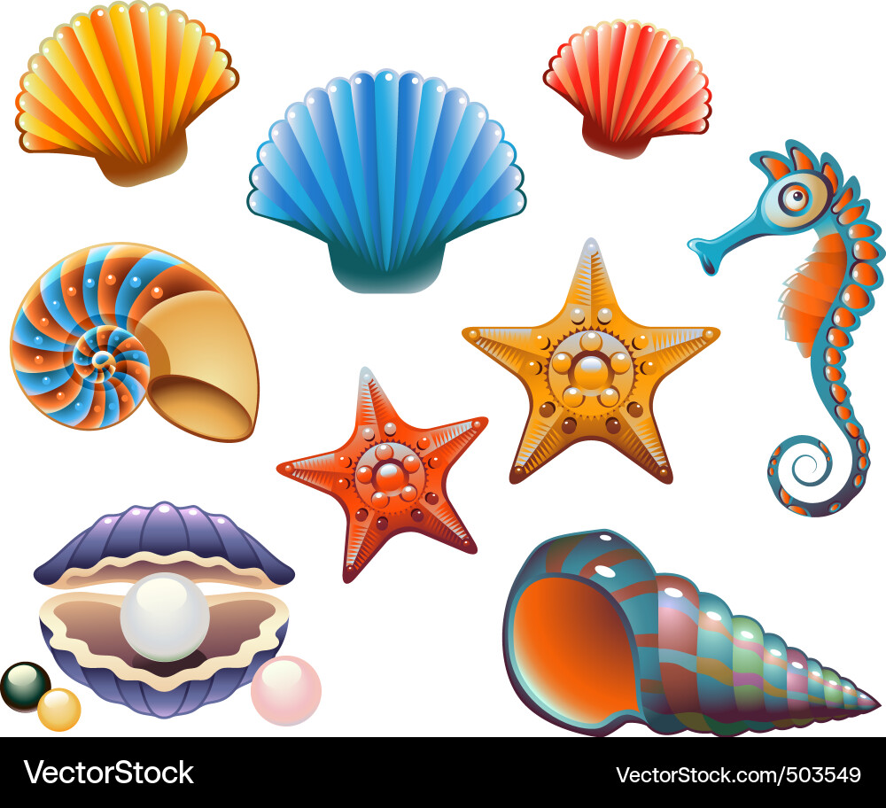 Colorful Seashell Collection Royalty Free Vector Image