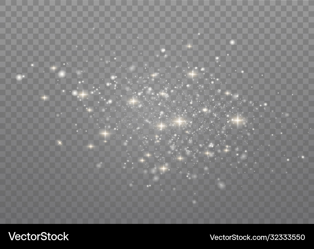 Sparkling dust particles Royalty Free Vector Image